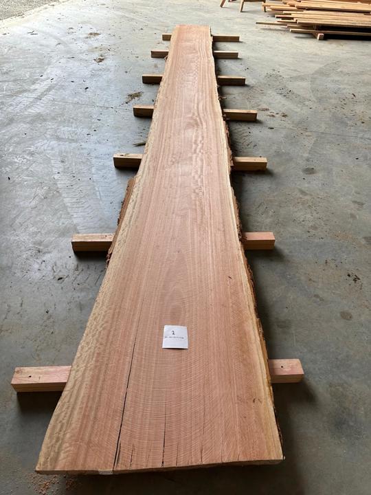 Macrocarpa Slab 01