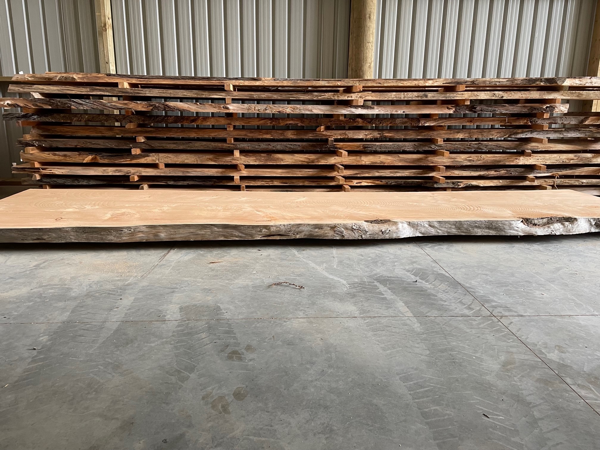 Macrocarpa Slabs | Sustainable & Durable Timber Slabs